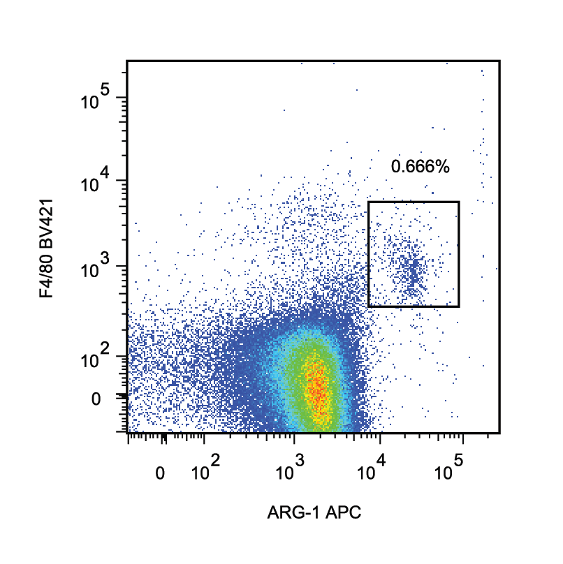 Human/Mouse Arginase 1/ARG1 APC-conjugated Antibody IC5868A: R&D Systems