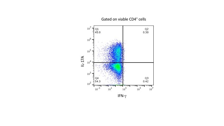 Recombinant Human TGF-beta 3 Protein 243-B3-002: R&D Systems